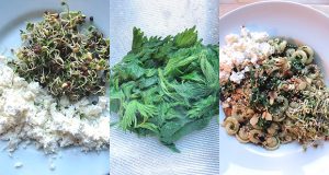Frühlings-Brennesselpasta – nettle pasta for spring – kuechenkitchen